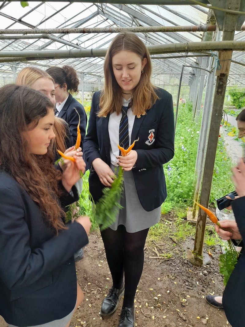 A Day of Discovery: Horticultural Exploration at Ballymaloe Gardens - Midleton College